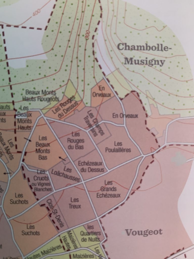 GC Grands Echézeaux et Echézeaux | Monocépage